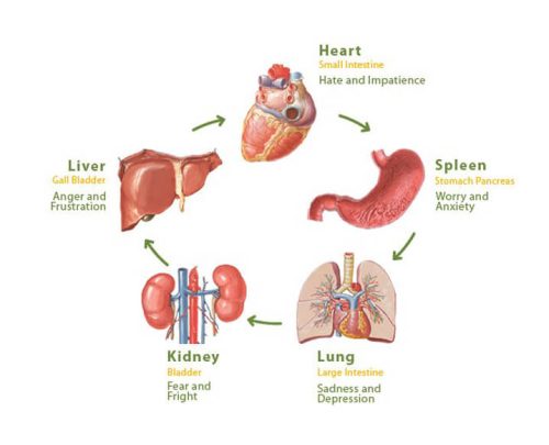 How Are Your Emotions Related To Health? - Joyre