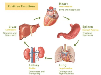 How Are Your Emotions Related To Health? - Joyre